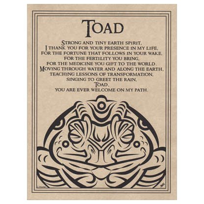 Toad Blessing poster